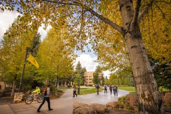 University Of Wyoming Transfer And Admissions Information